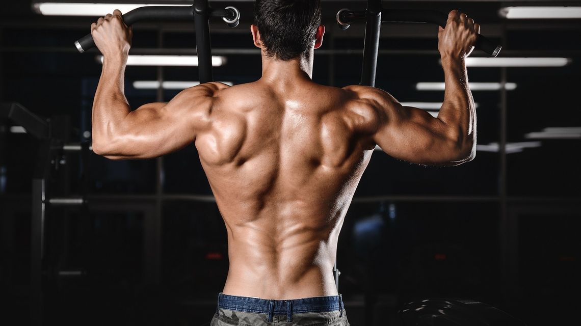 Najlepšie cviky na nohy! TOP 7 cvikov na kvadricepsy | Aktin